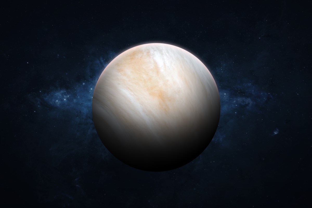 Venus en Capricornio: qué significa este tránsito para tu signo - La ...