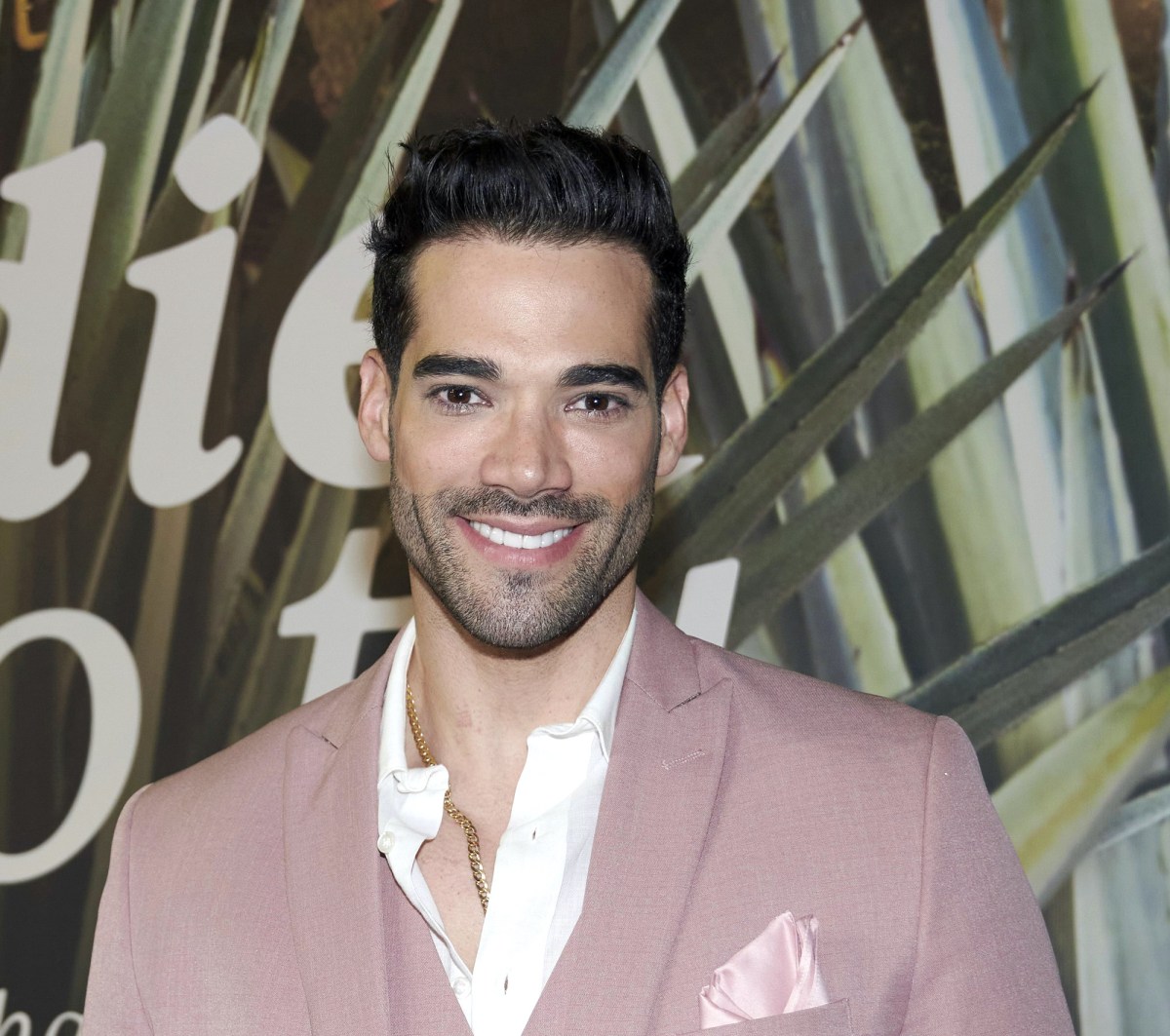 Guty Carrera confirma que hackearon su cuenta de Instagram - La Opinión