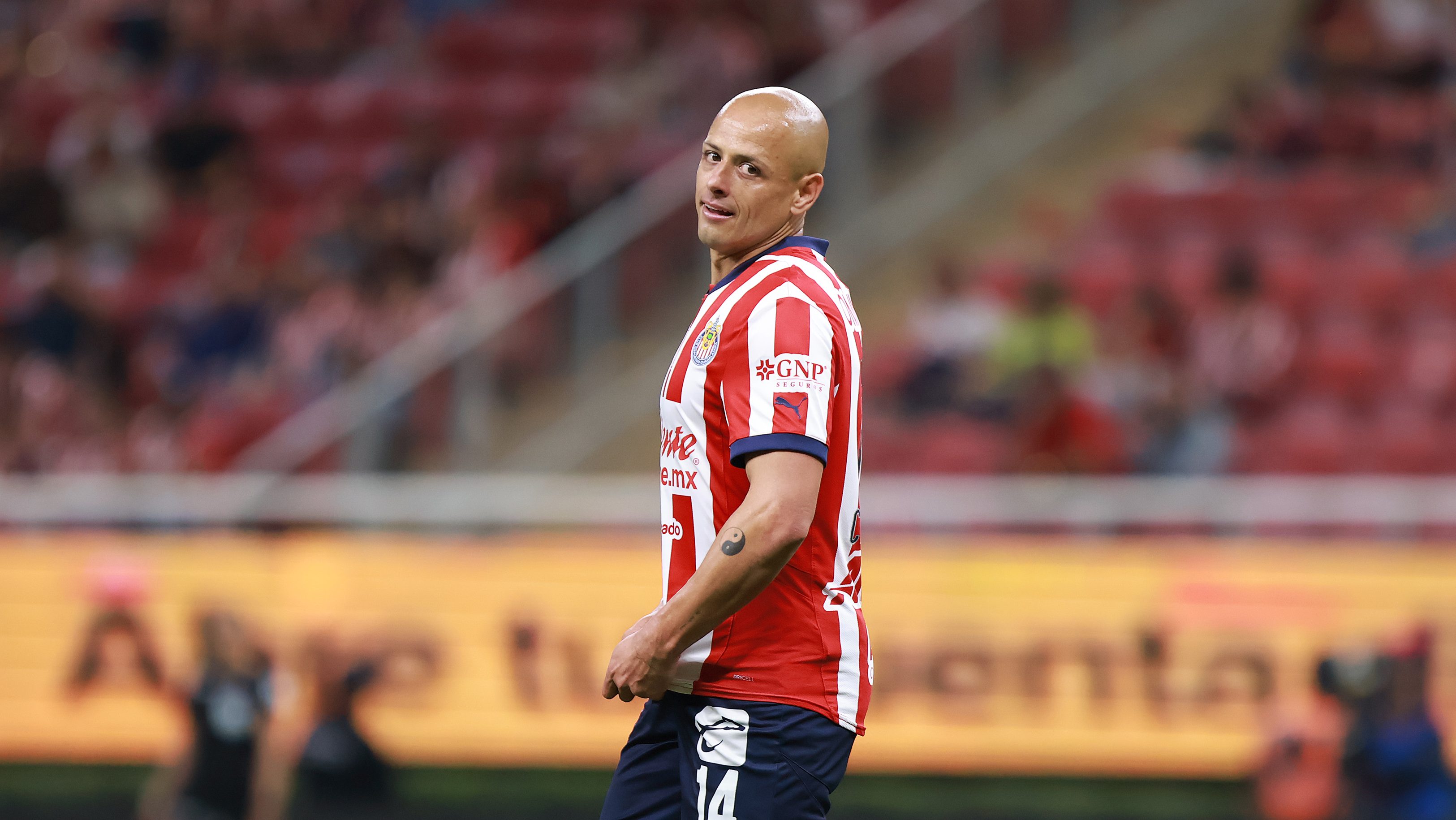 El Chicharito Hernández no está contemplado como fichaje del San Diego ...