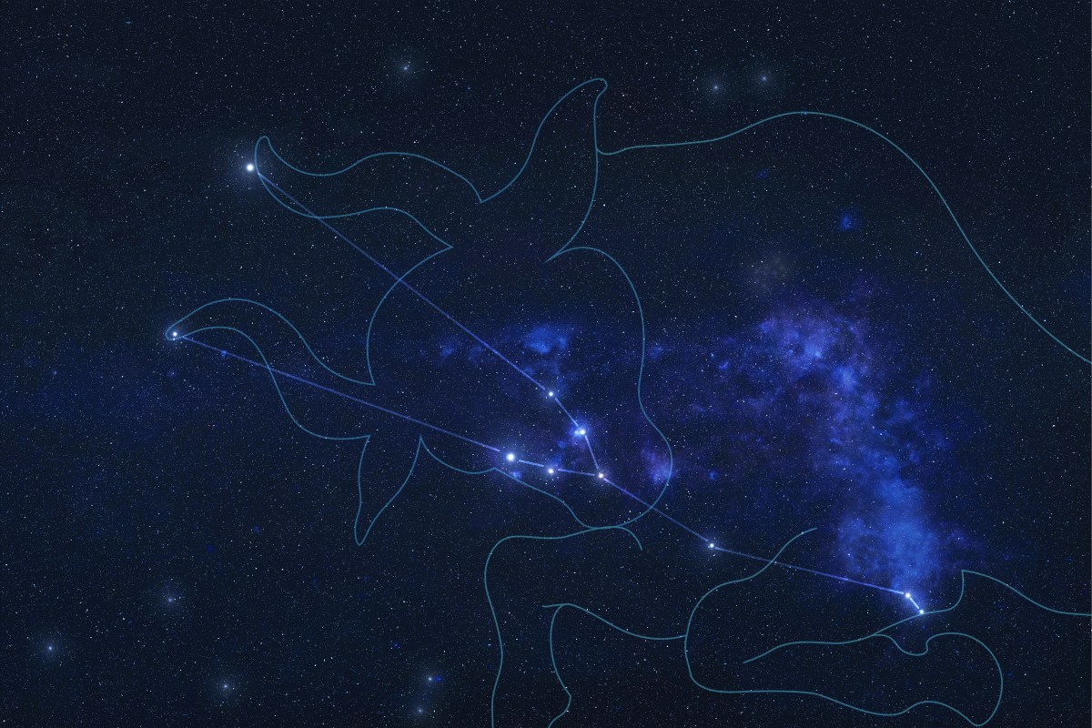 ¿Eres Tauro? Los 7 datos que debes saber sobre tu signo del zodiaco ...