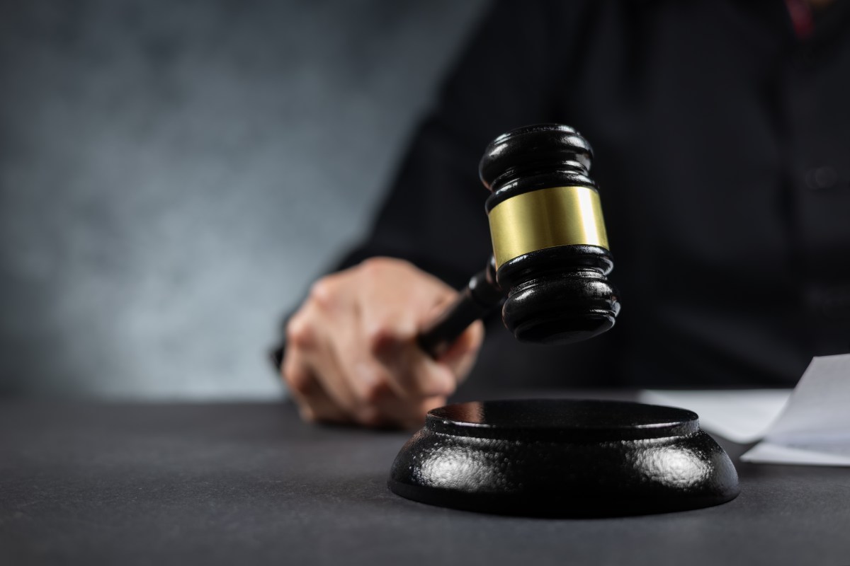 Policía irá a juicio por matar a cachorro en New Orleans - La Opinión