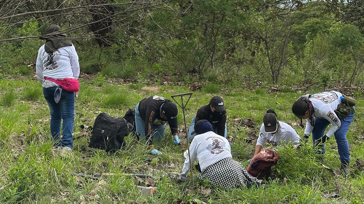Hallan 48 bolsas con restos humanos dentro de una fosa clandestina en ...