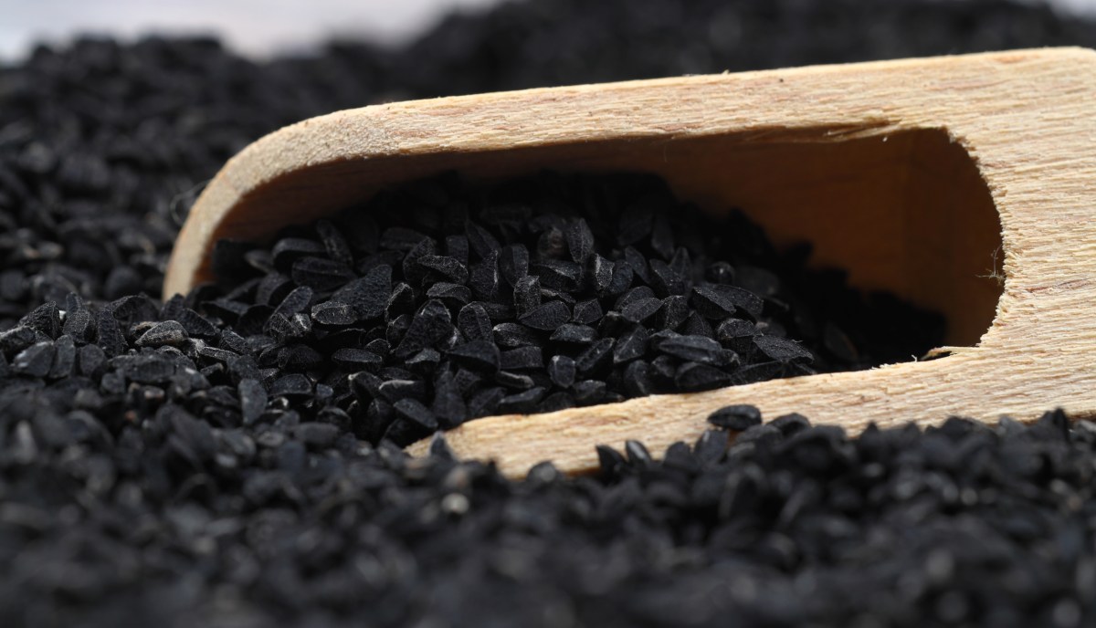 Impacto del comino negro y especias cotidianas en la lucha contra la ...