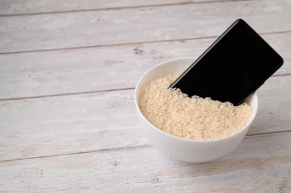 La verdad sobre el mito del arroz: por qué nunca deberías meter tu ...