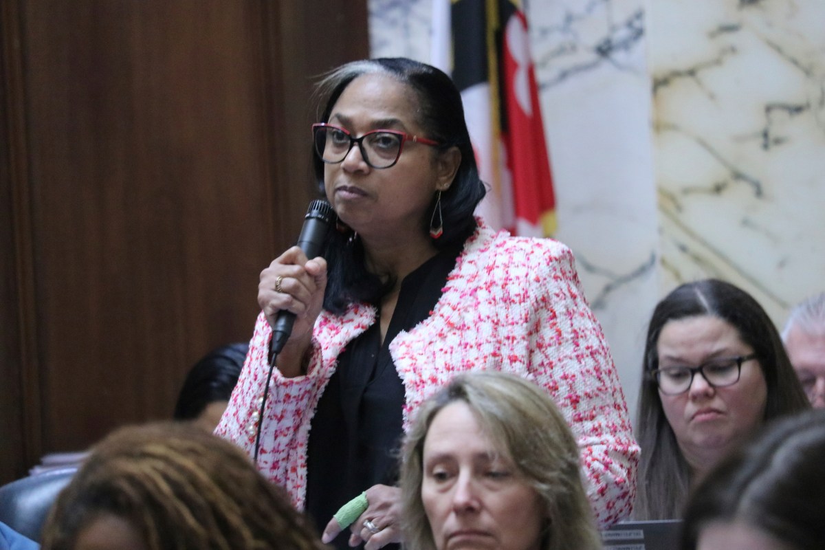 Joseline Peña-Melnyk primera inmigrante y afrolatina en ser elegida ...