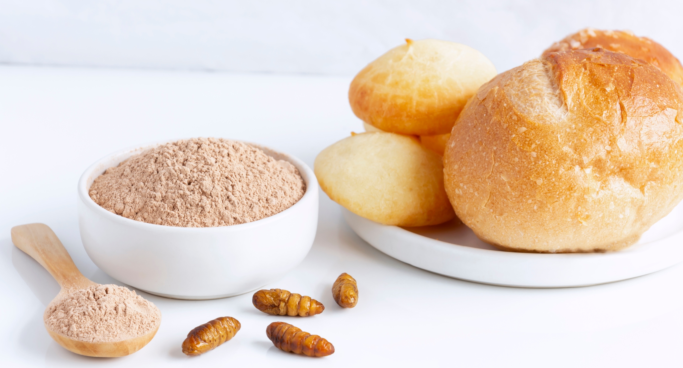 Harina de insectos será considerada un alimento completo en un futuro ...