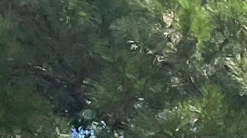 Éxodo de residentes de California no se detiene en 2025 - La Opinión