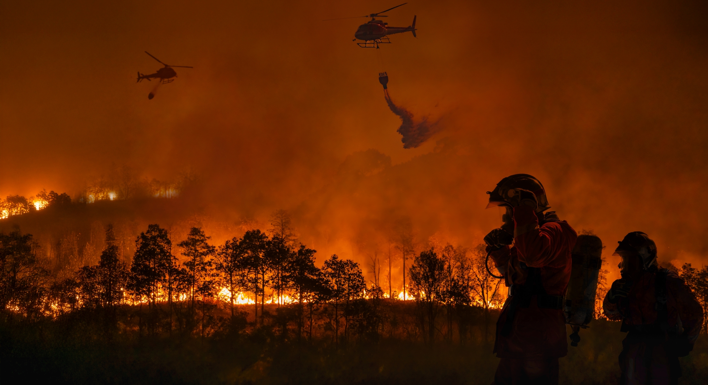 Exposición de embarazadas al humo de los incendios forestales en ...