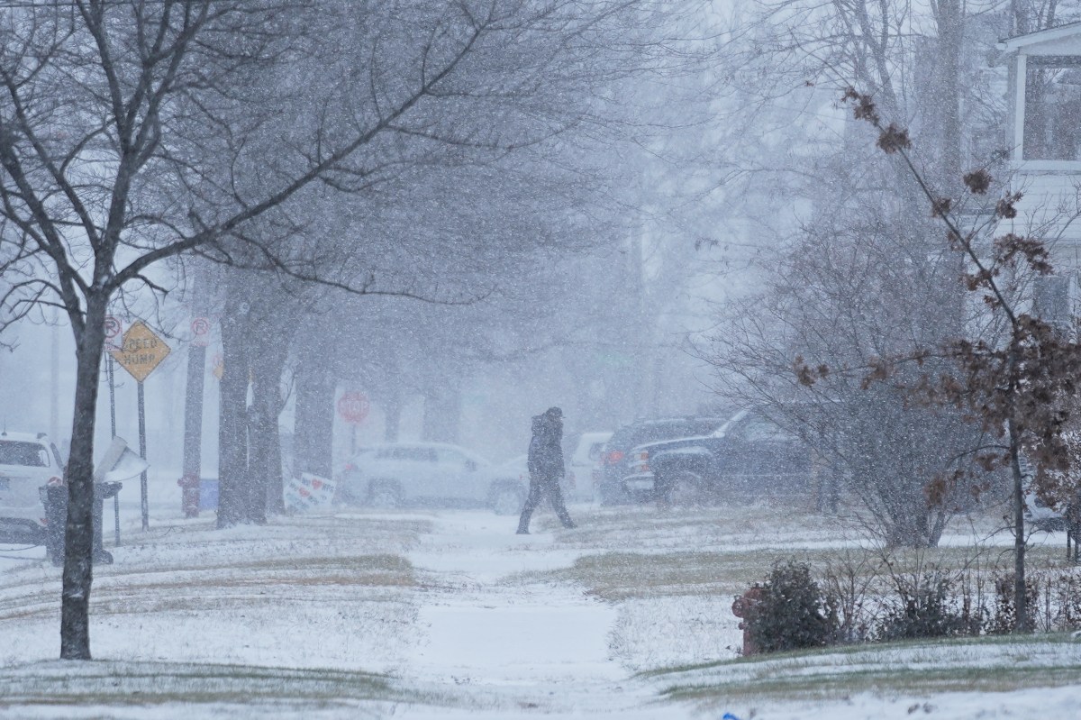 FEMA se coordina con estados ante la impacto de tormenta invernal - La ...