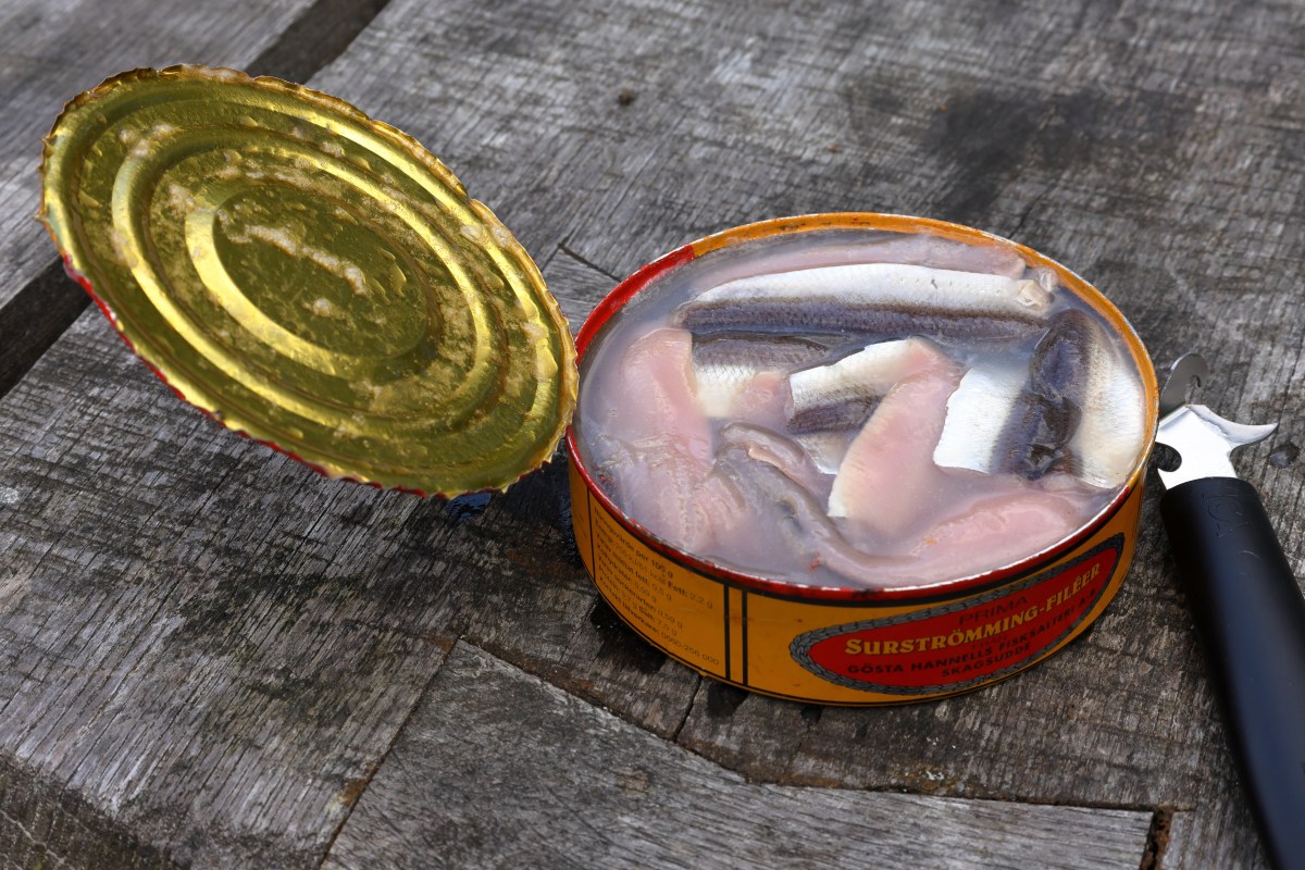 La comida más asquerosa del mundo: qué es el surströmming y cómo huele ...