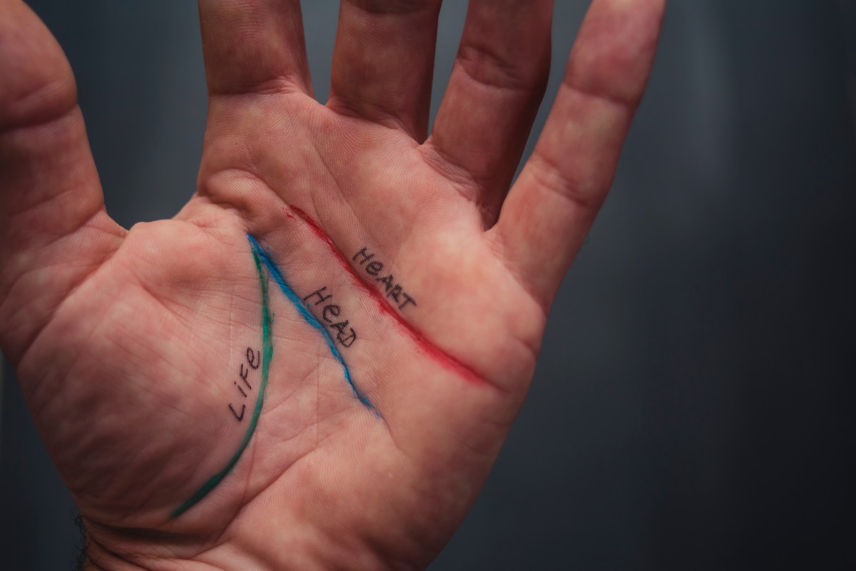 Cómo leer las líneas de la mano sin ser experto y qué significa cada ...