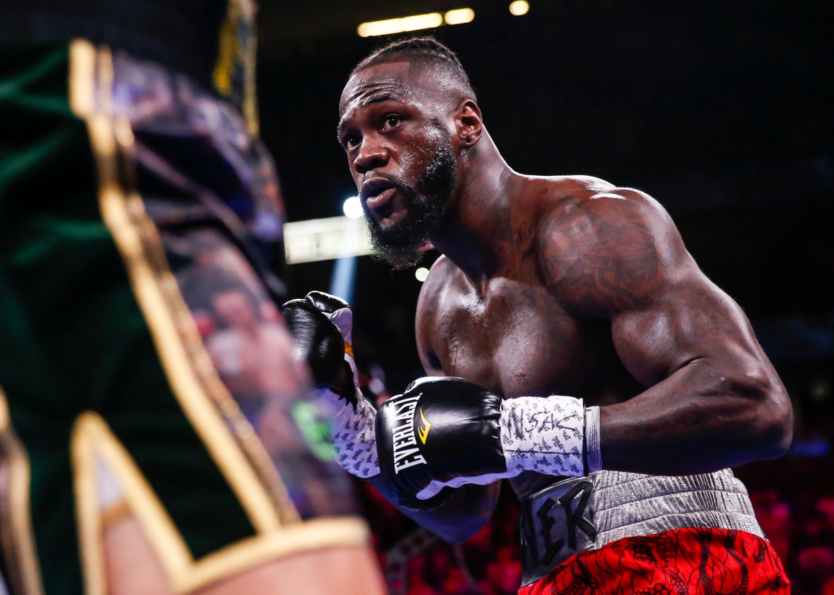 Wilder retó a Joshua a un combate - La Opinión