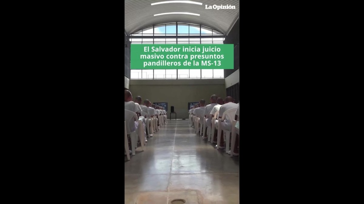 El Salvador procesa a la cúpula de la MS-13 por 47,000 delitos / La ...