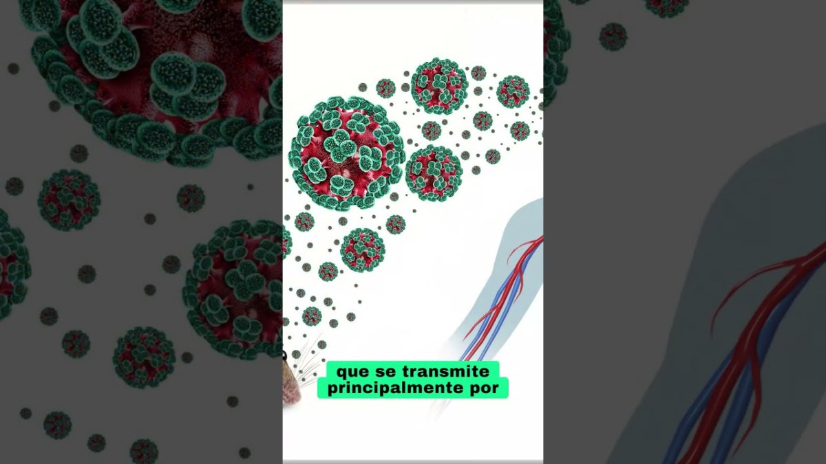 ¿Cuál es el riesgo para la población general tras brote de hantavirus ...